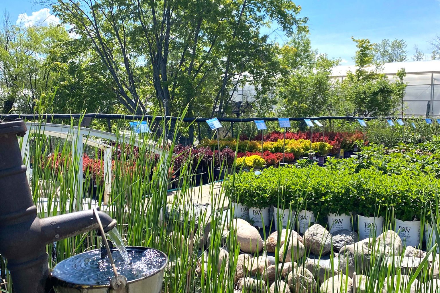 Surprising All Seasons Garden Center Pictures